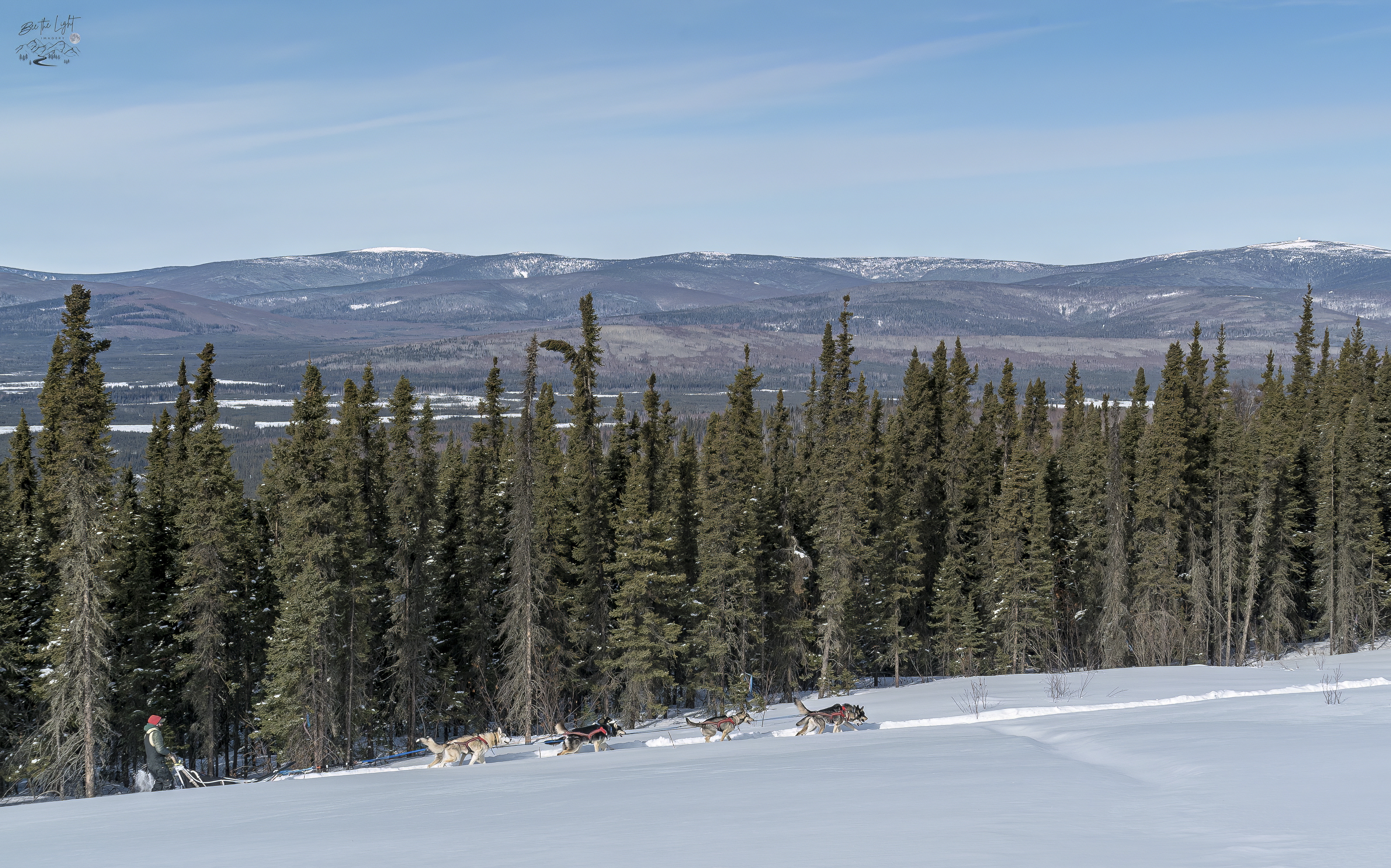 Sluice Box Sled Dogs | Alaskan Husky Sled Dog Adventures